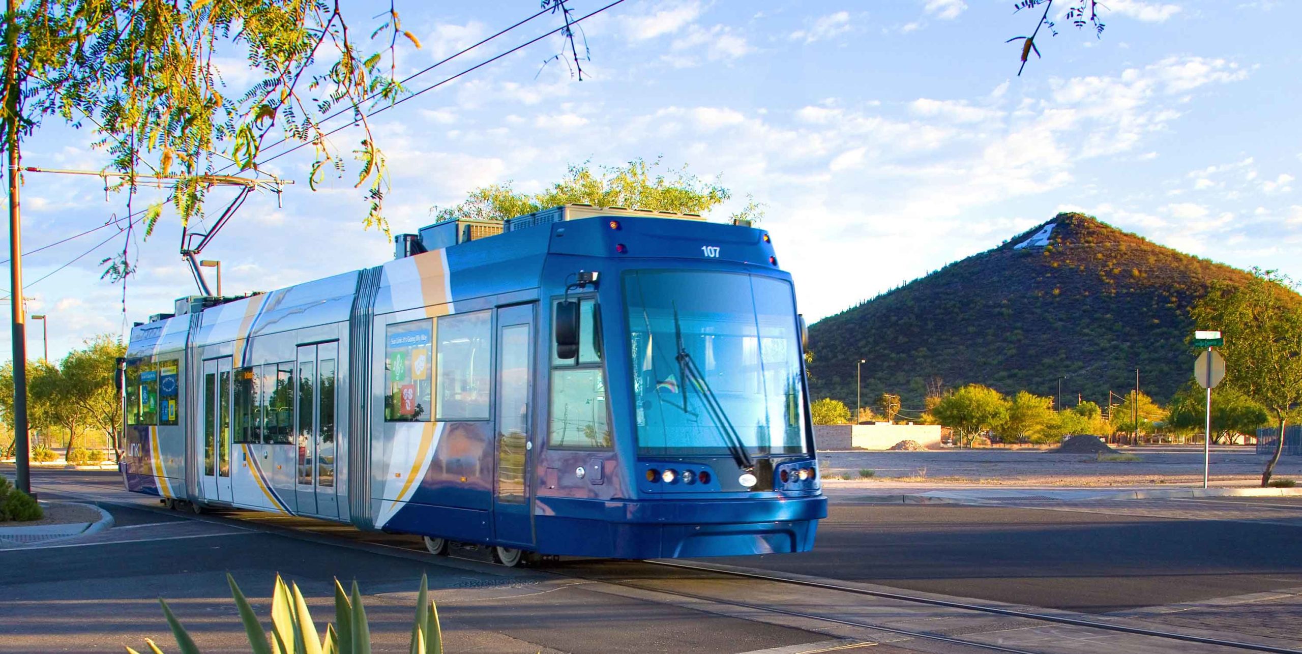 North American Transit Alliance